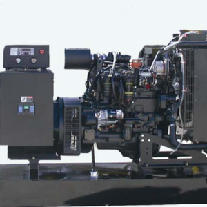 MTS Power Products has the best generator sets available!